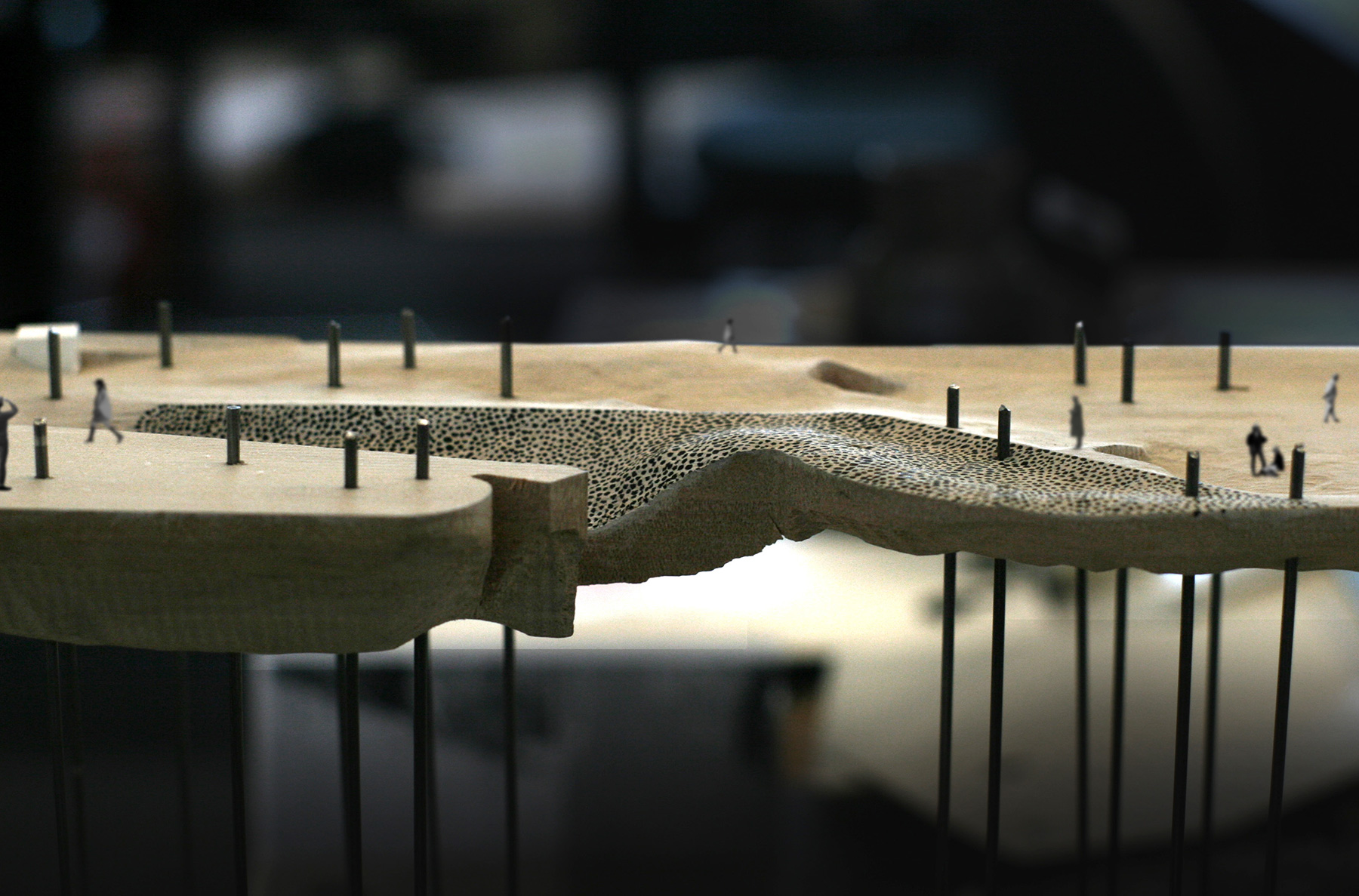 Winner: Tom Dobinson