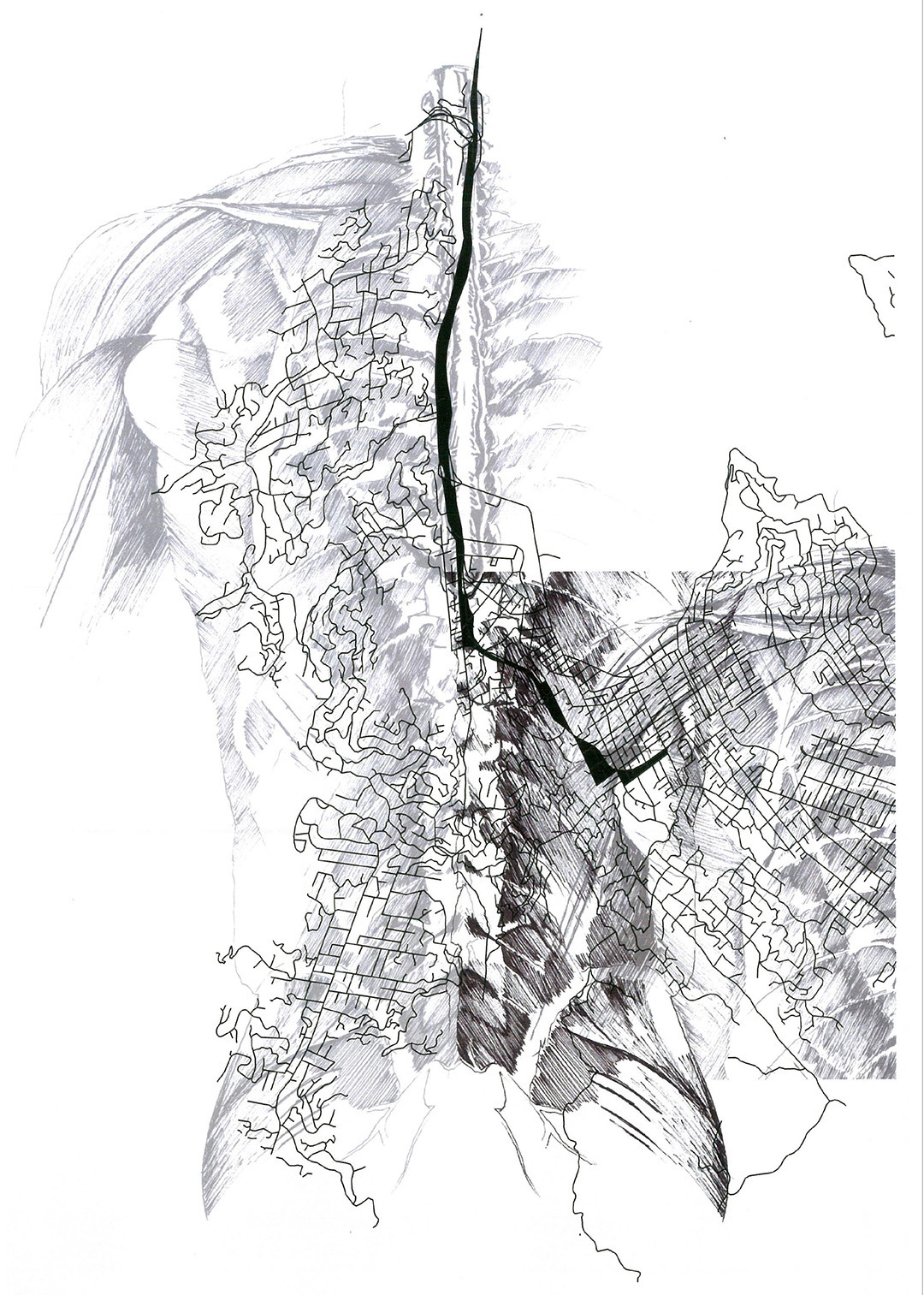 Finalist: Ashley Benck