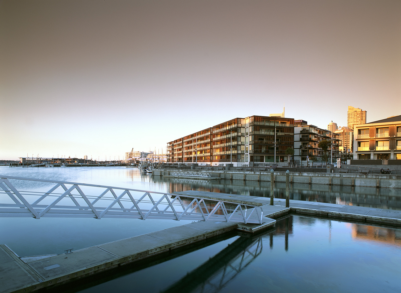 2006 Gold Medal: Gordon Moller