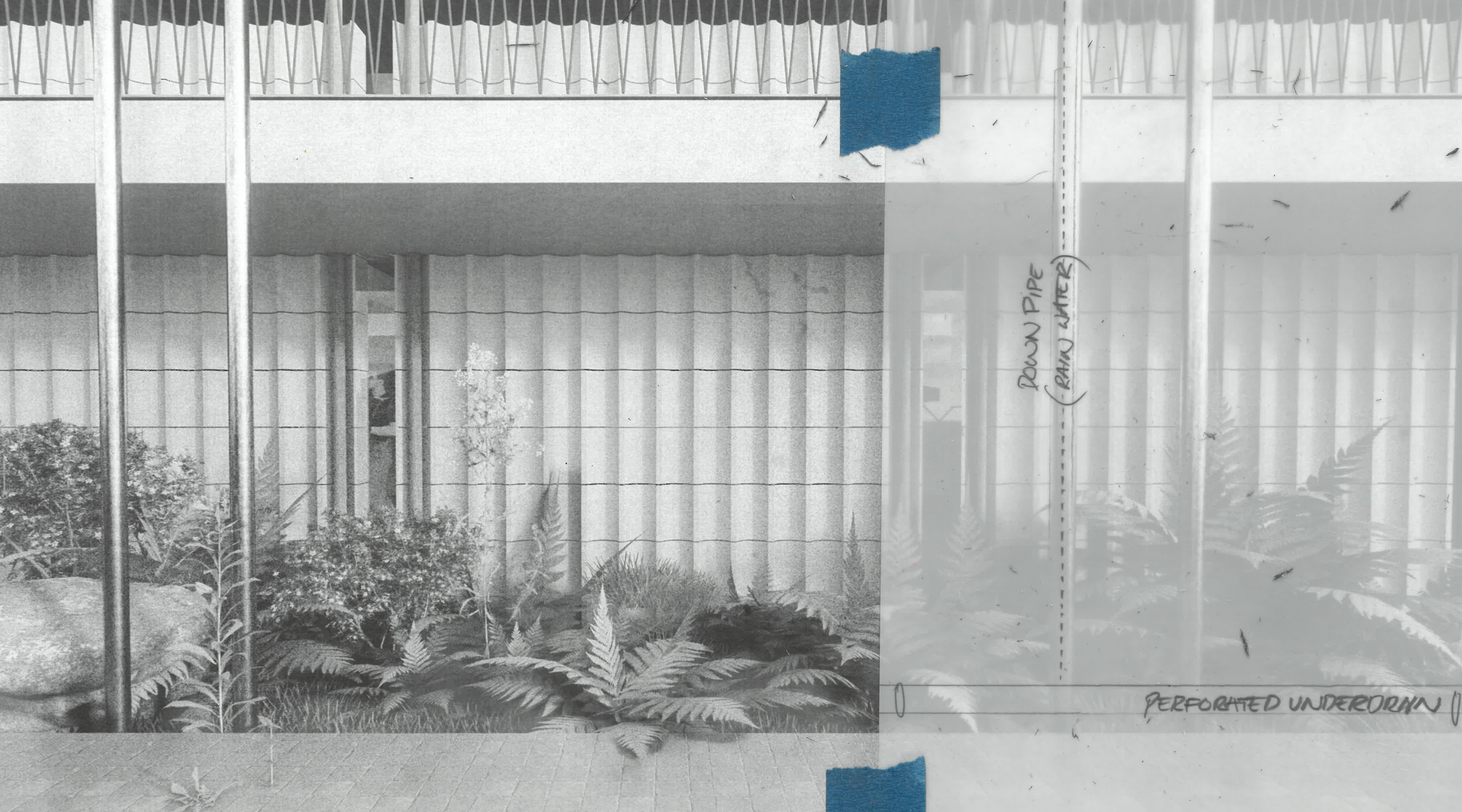 Finalist - Jamie Logie